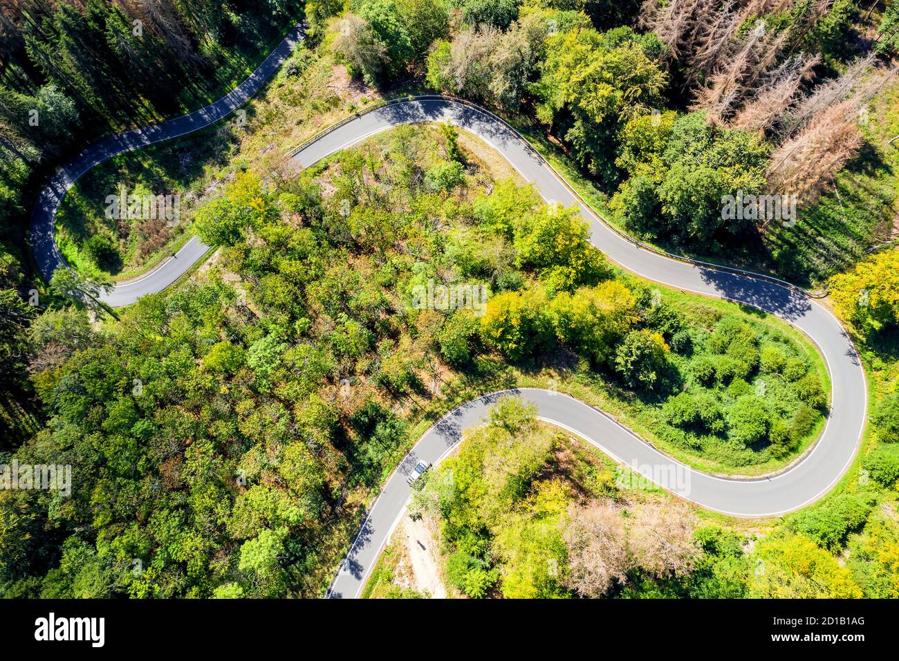 a curvy forest road from above Stock Photo - Alamy