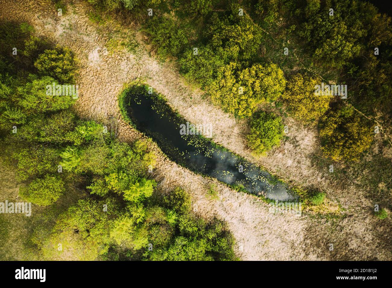 Belarus. Aerial View Of Dry Grass And Small Bog Marsh Swamp Wetland ...