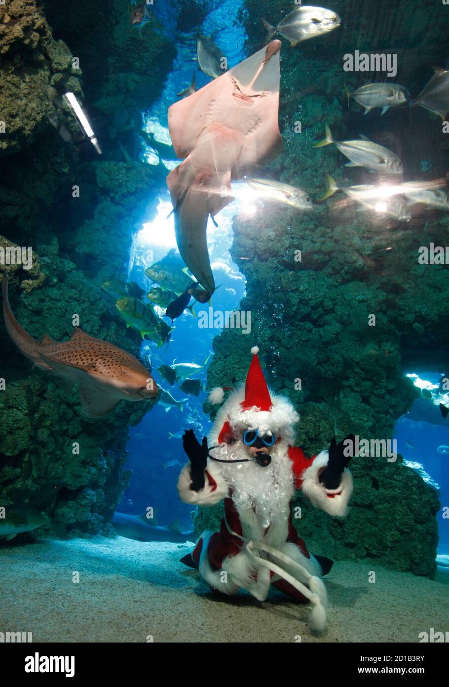 Oceanic museum monaco hi-res stock photography and images - Alamy