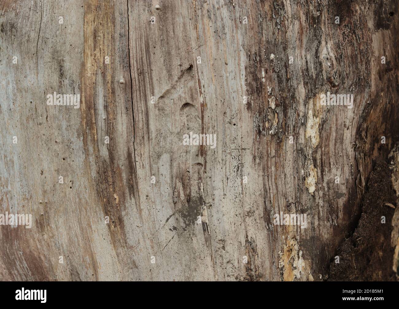 Old damaged wooden texture for backgrounds Stock Photo - Alamy