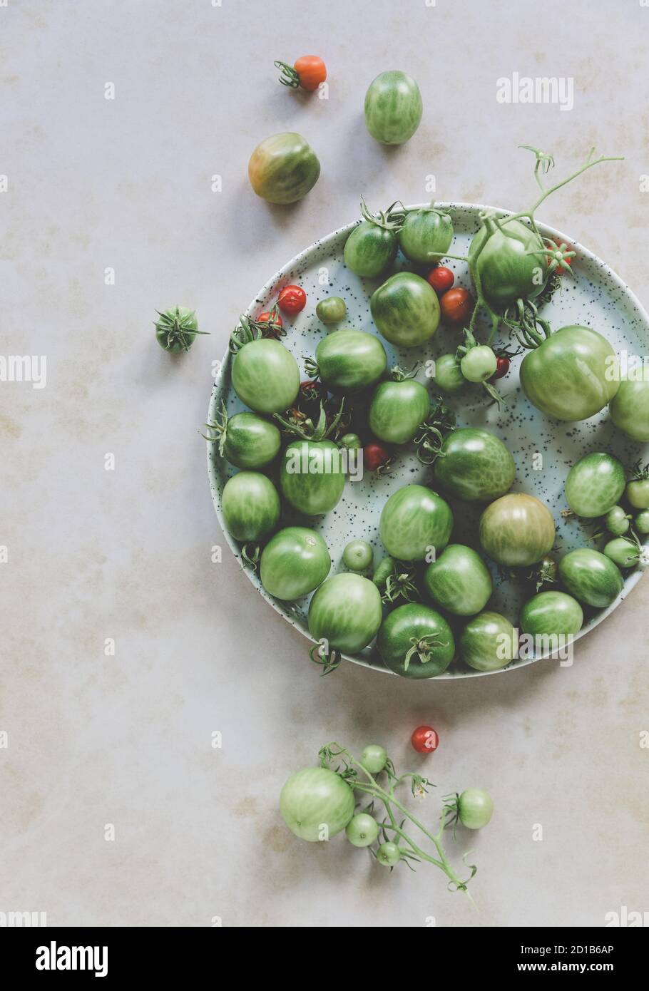 Small green tomatoes ripening on a plate Stock Photo - Alamy