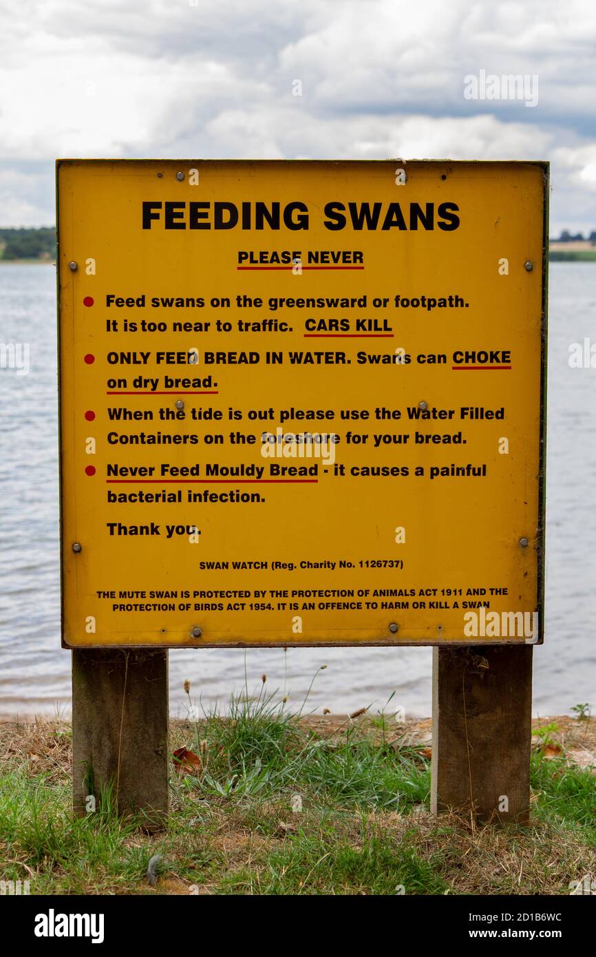 'Feed Swans' warning notice beside the River Stour and Mistley Towers ...