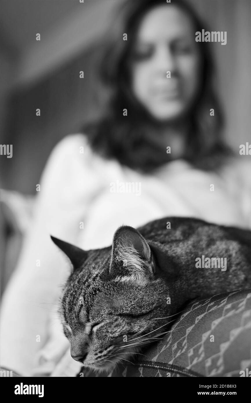 Woman with a cat on her lap hi-res stock photography and images - Alamy