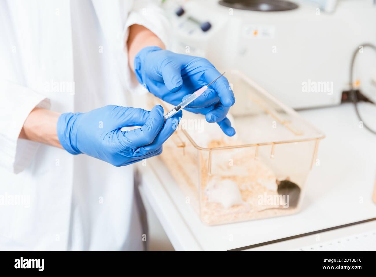 Female scientist hand using syringe Stock Photo - Alamy