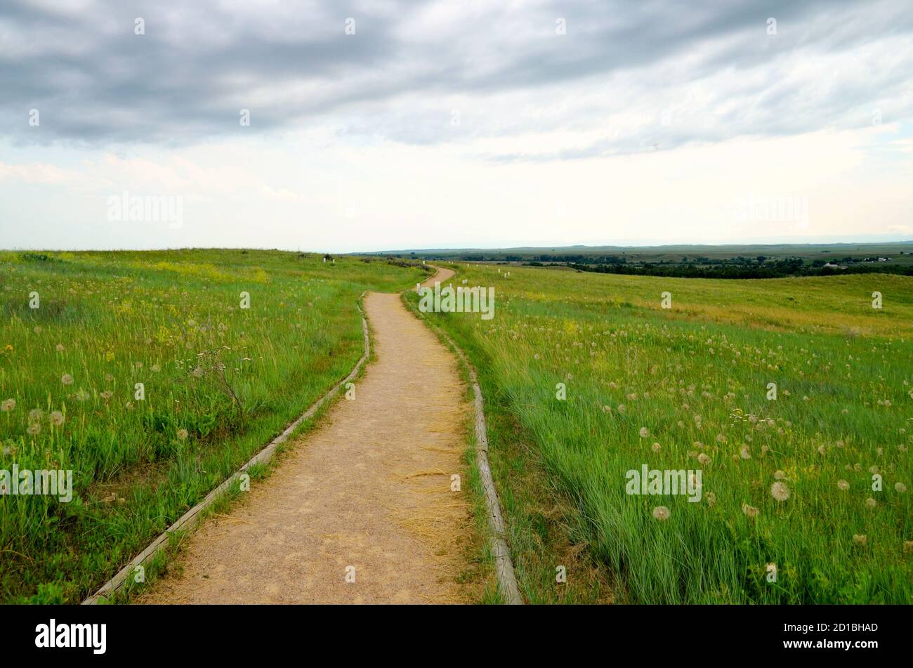 Montana - Little Bighorn Path through Meadow Stock Photo - Alamy