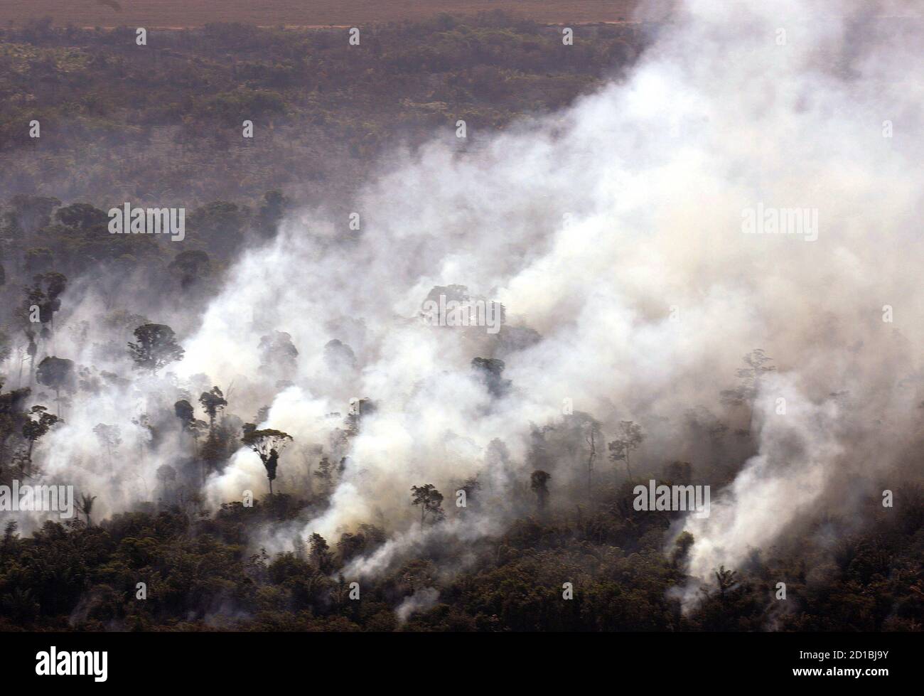 Total deforestation hi-res stock photography and images - Alamy