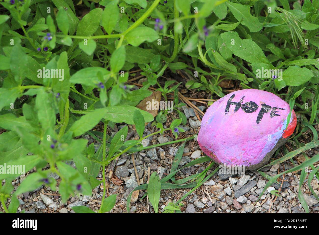 Hope during difficult times - The detail on pink painted Hope rock on ...