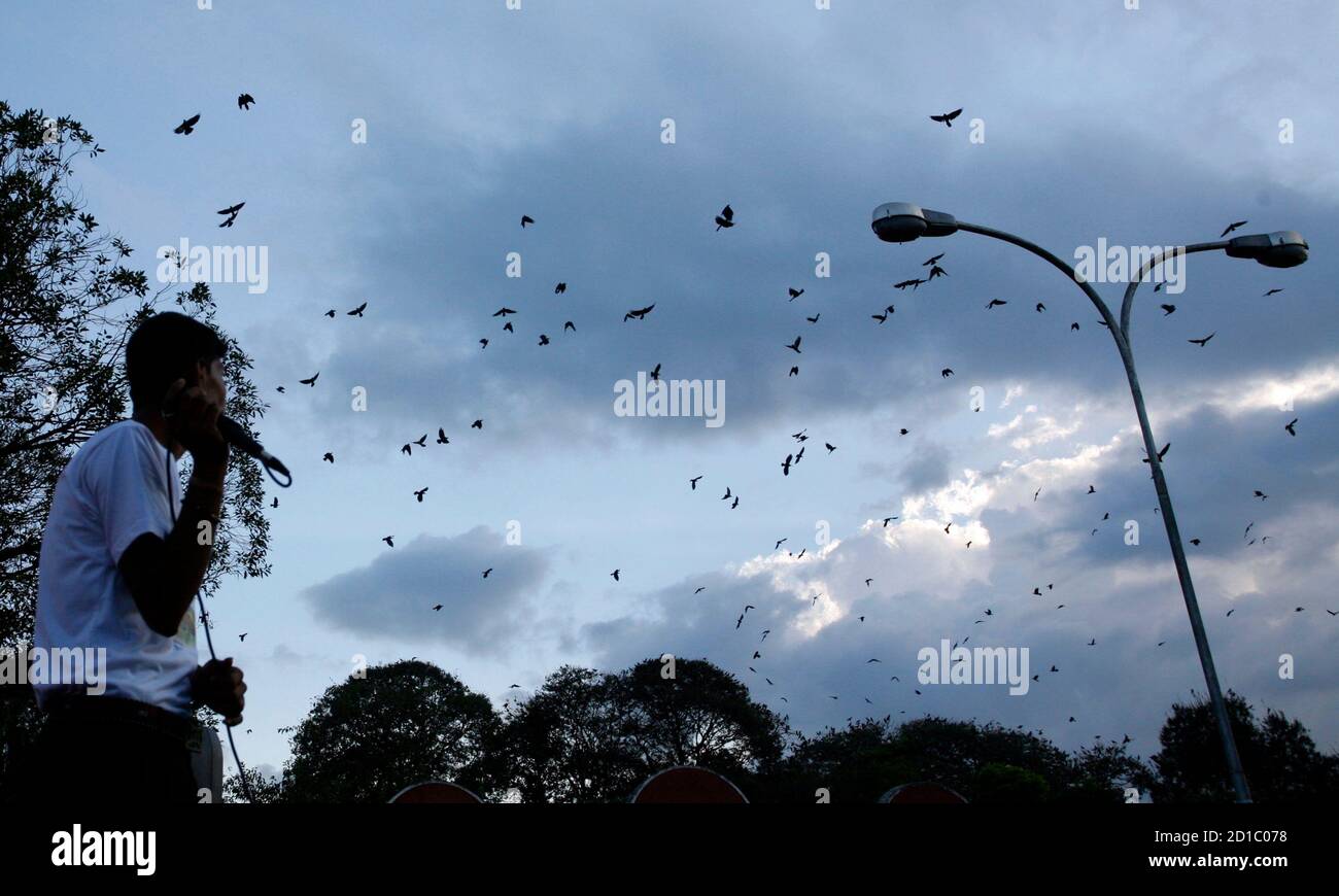 Different types of calls hi-res stock photography and images - Alamy