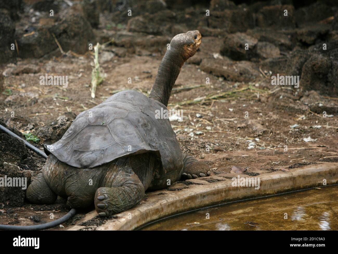 Santa georges cruz hi-res stock photography and images - Alamy