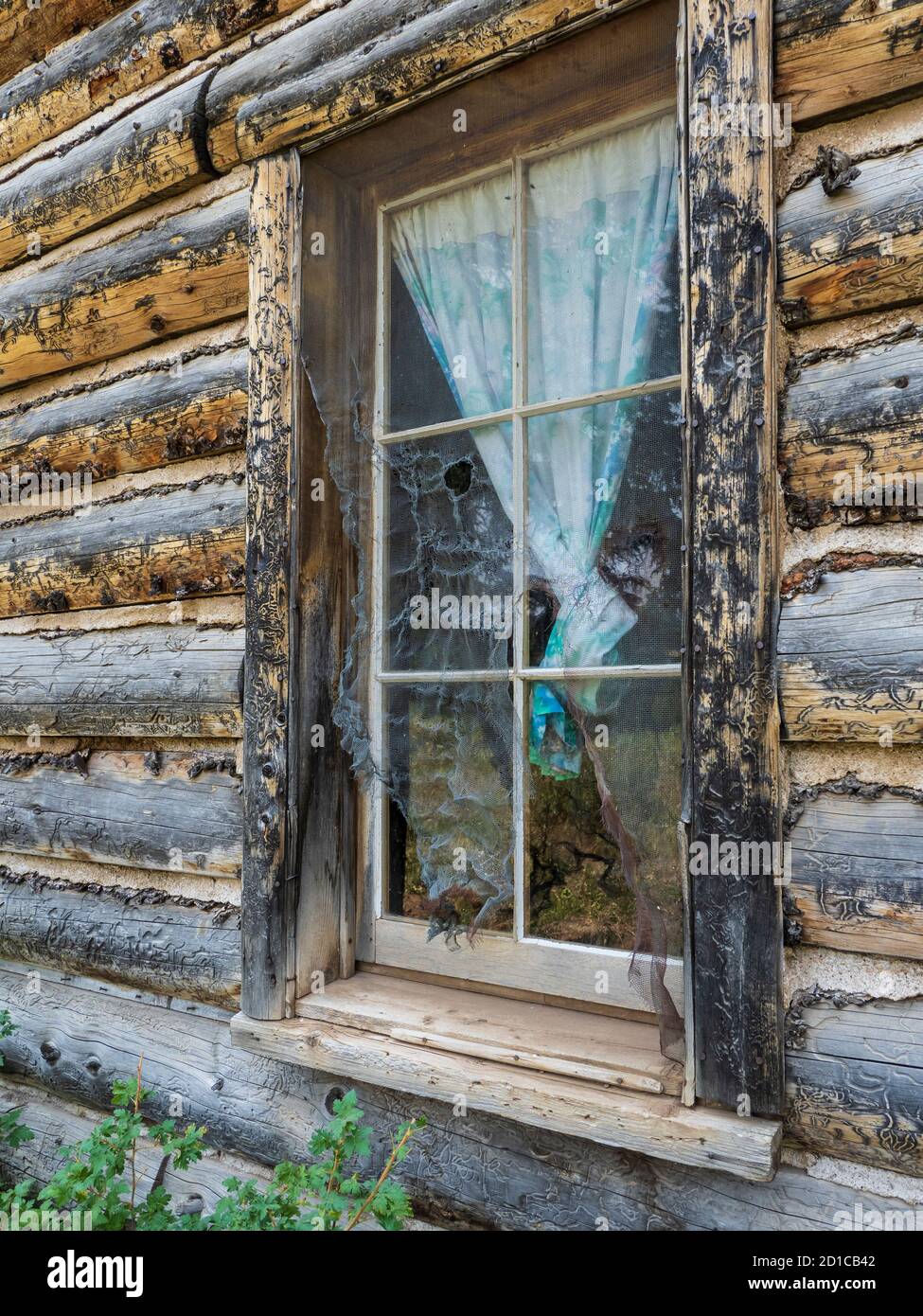 Abandoned ranch house near Crane Lake, Grand Mesa, Colorado Stock Photo ...
