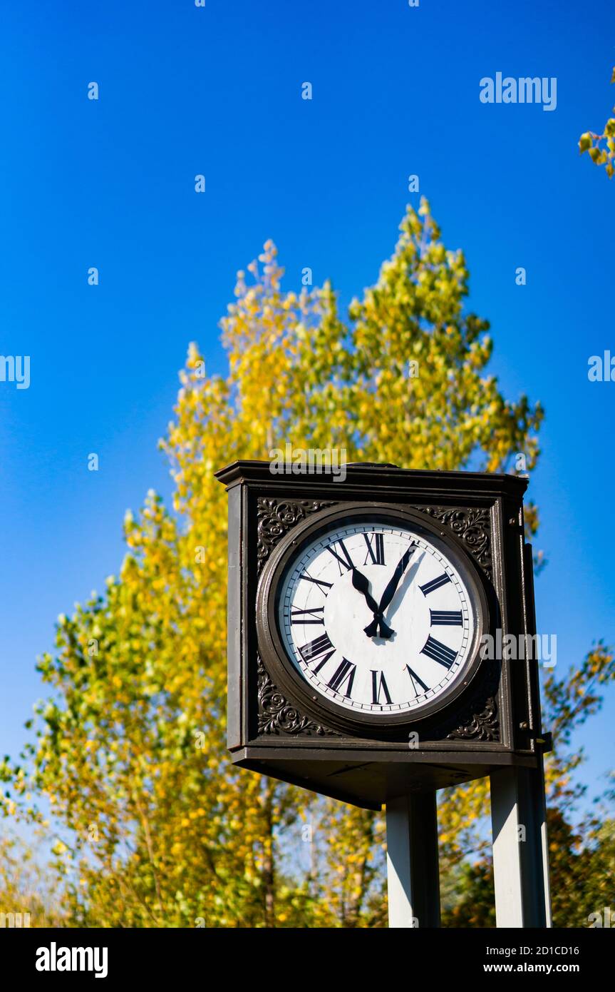 Vertical shot of an outdoor clock on a pipe surrounded by trees under ...