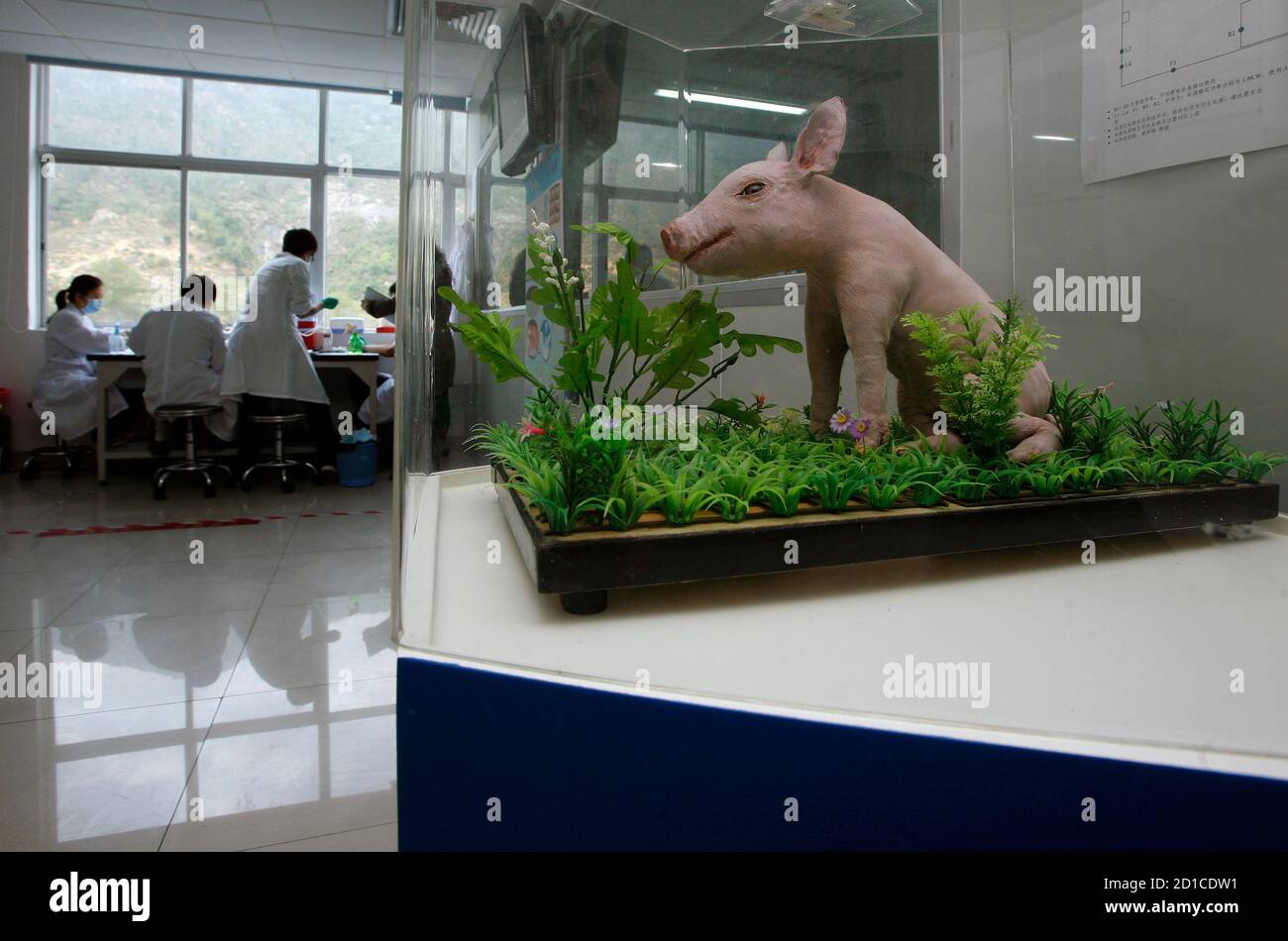 First Cloned Animal High Resolution Stock Photography and Images - Alamy