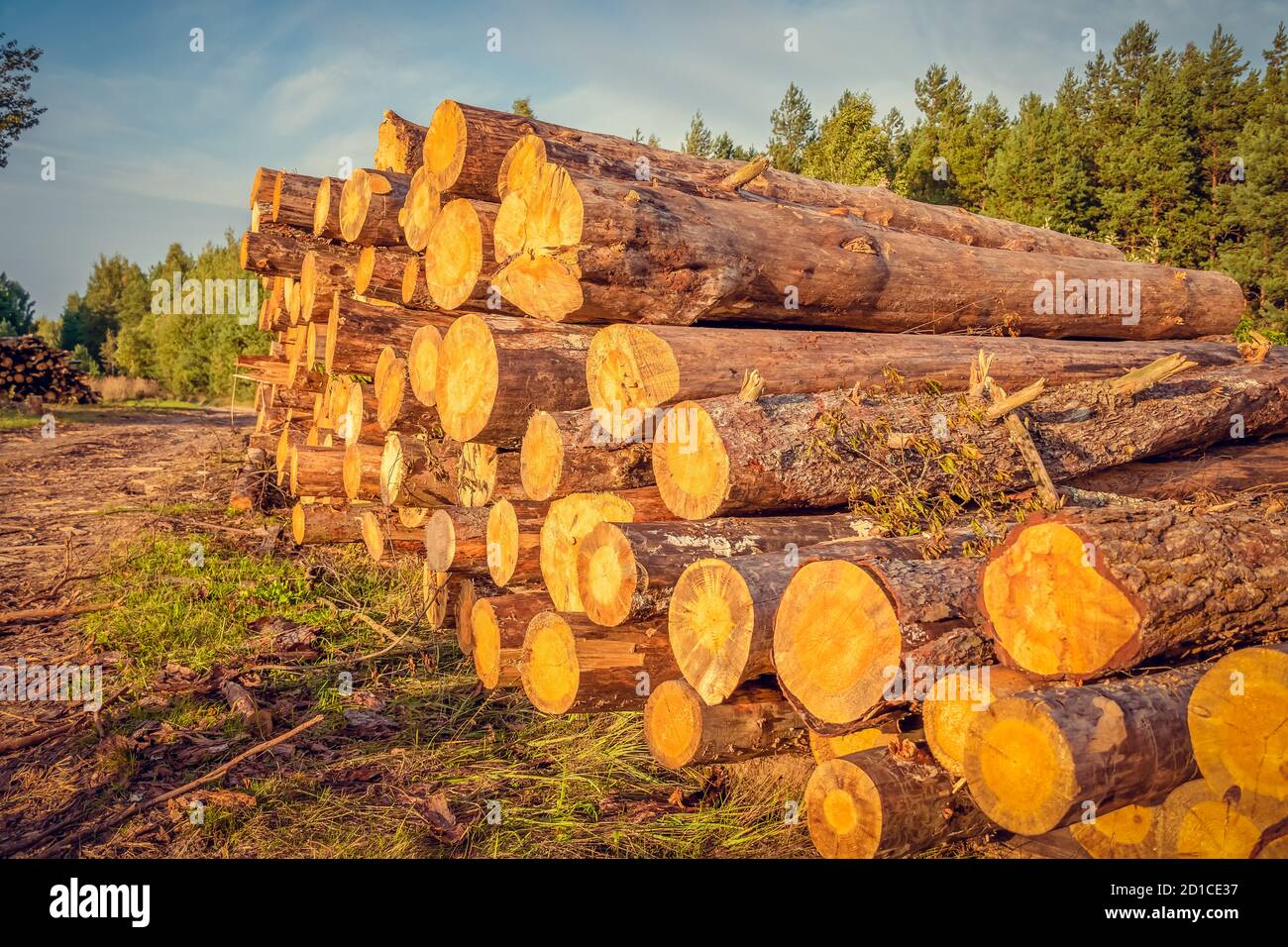 Lie sideways hi-res stock photography and images - Alamy