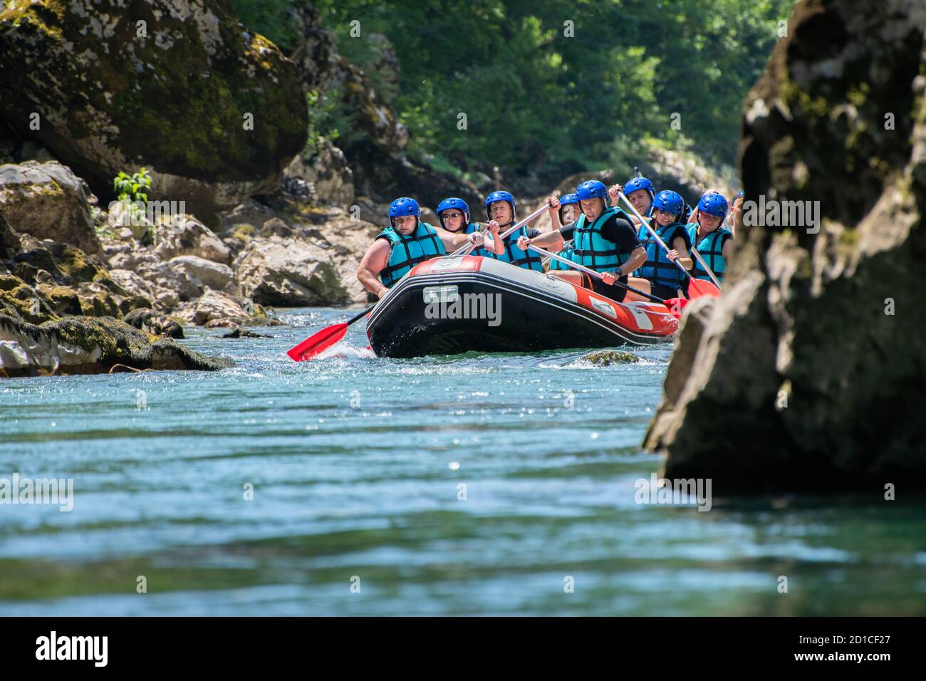 Rafting team goes down the river on the beautiful sunny day Stock Photo ...