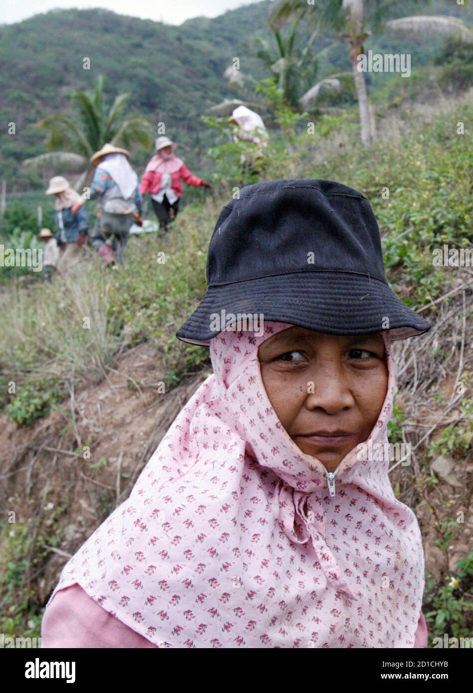 Atayal hi-res stock photography and images - Alamy