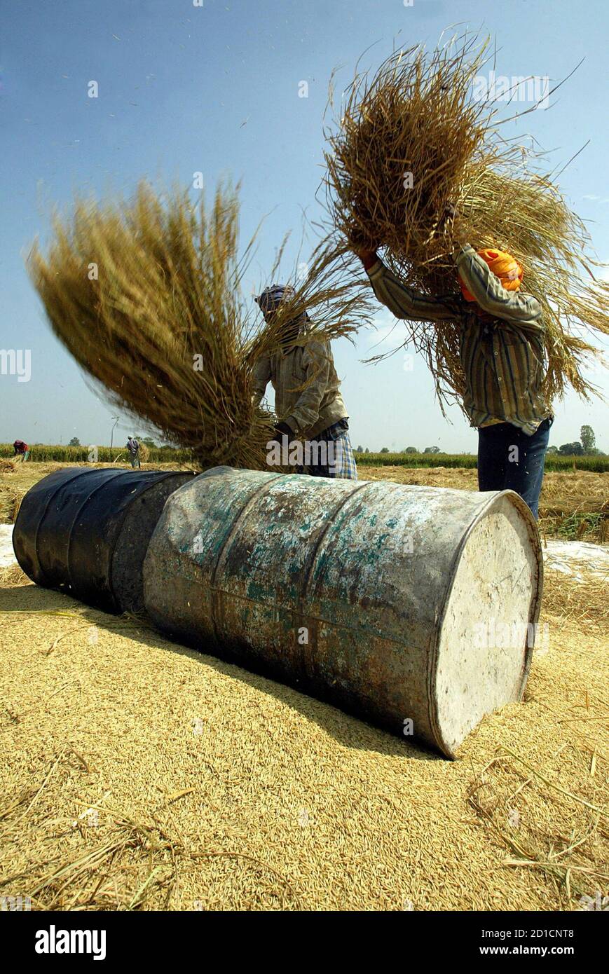 Labourers work in paddy field hi-res stock photography and images - Alamy