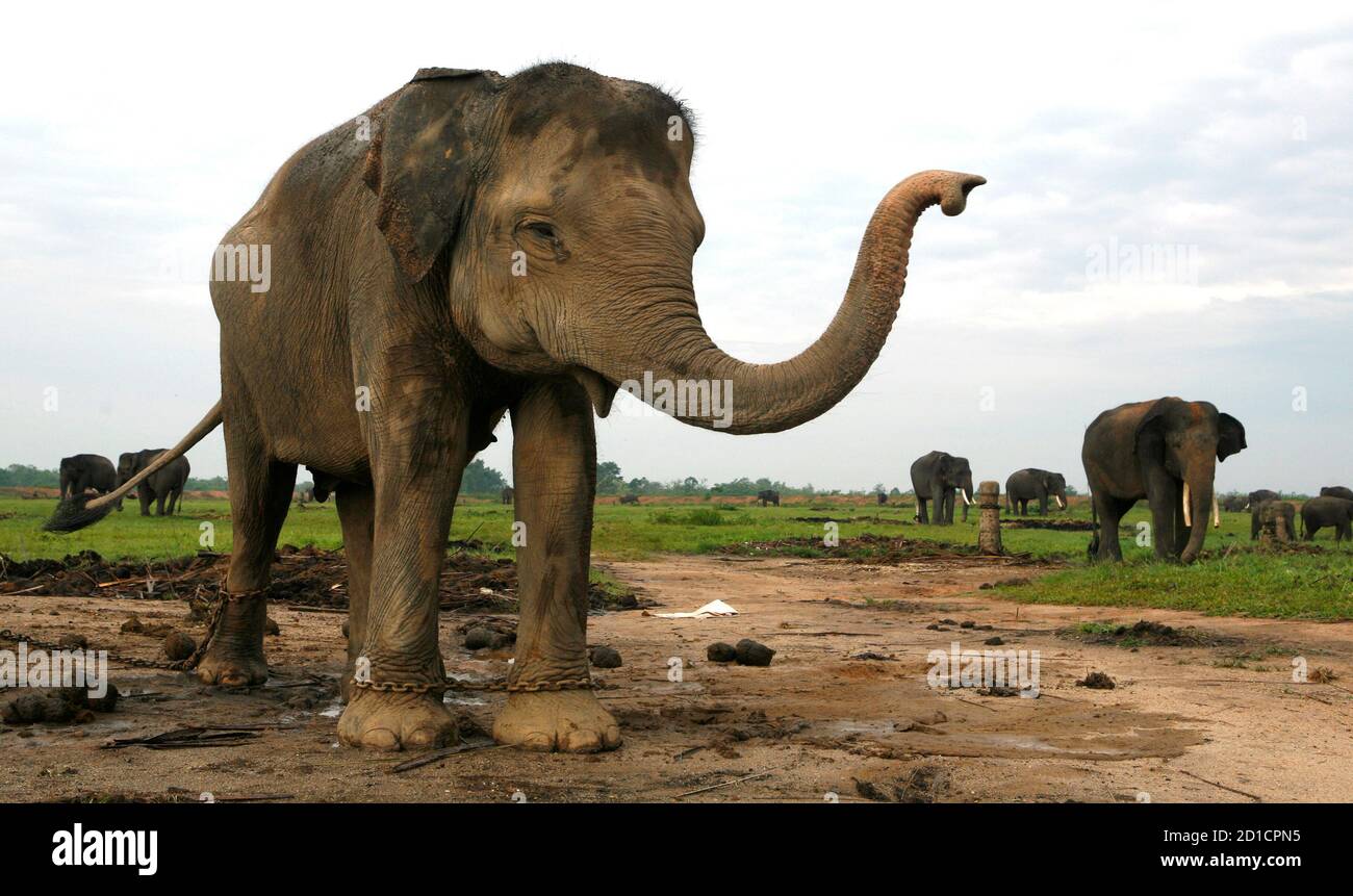 Habitat fragmentation hi-res stock photography and images - Alamy