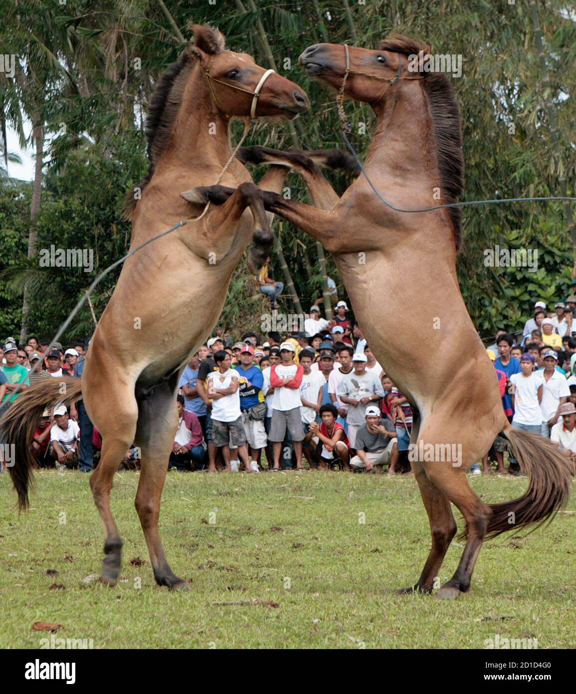 Carigara hi-res stock photography and images - Alamy