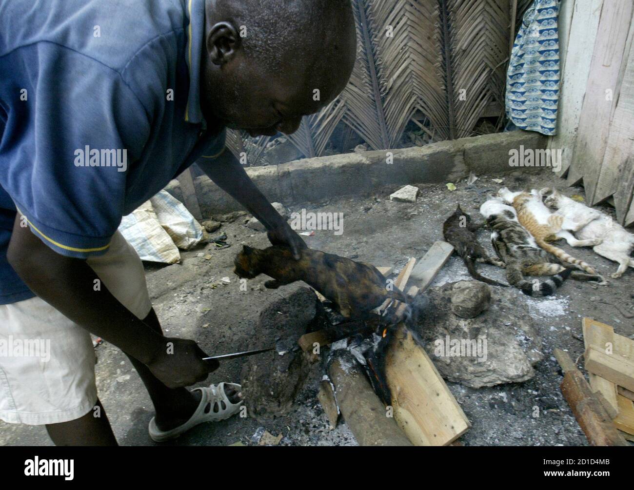 Bushmeat west africa market hi-res stock photography and images - Alamy