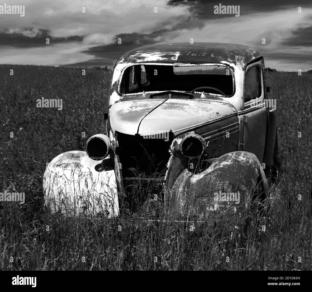 Out to pasture Black and White Stock Photos & Images - Alamy