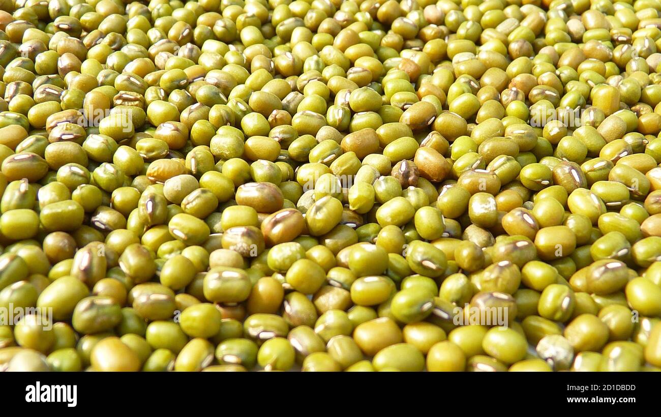 Closeup of a pile of mung beans or green grams Stock Photo - Alamy