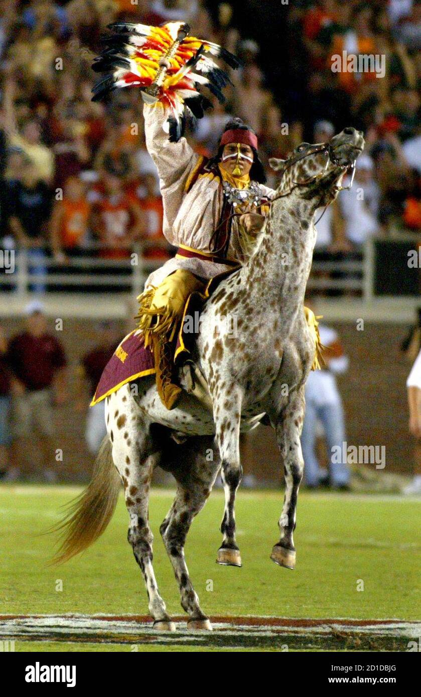 Florida state university mascot hi-res stock photography and images - Alamy