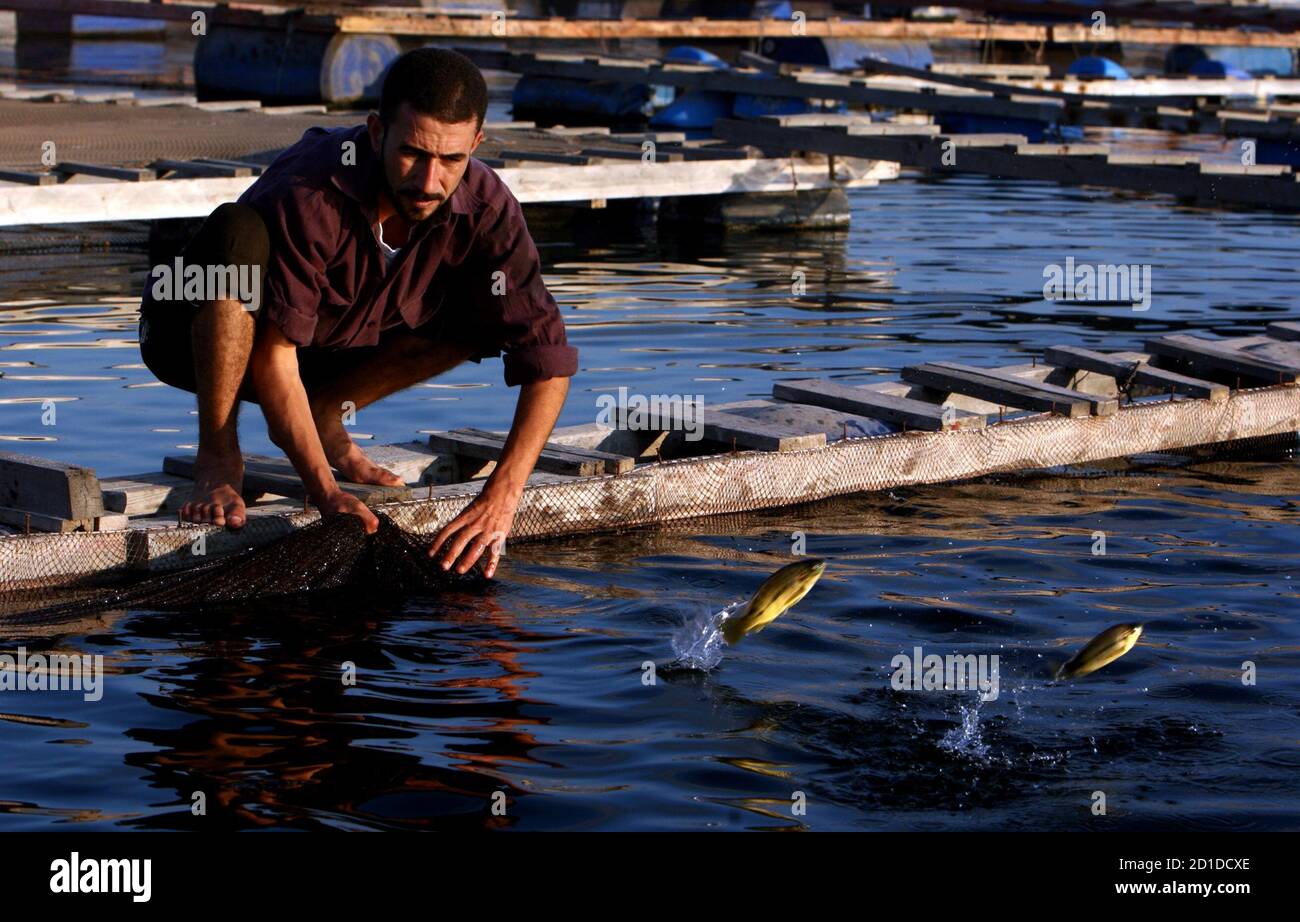 Nile delta farming hi-res stock photography and images - Alamy