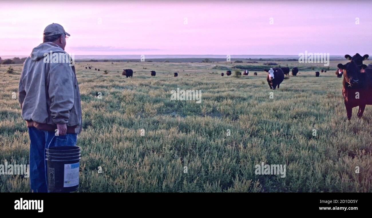 THE DISRUPTED, Donn, a third generation farmer struggling to hold on to ...