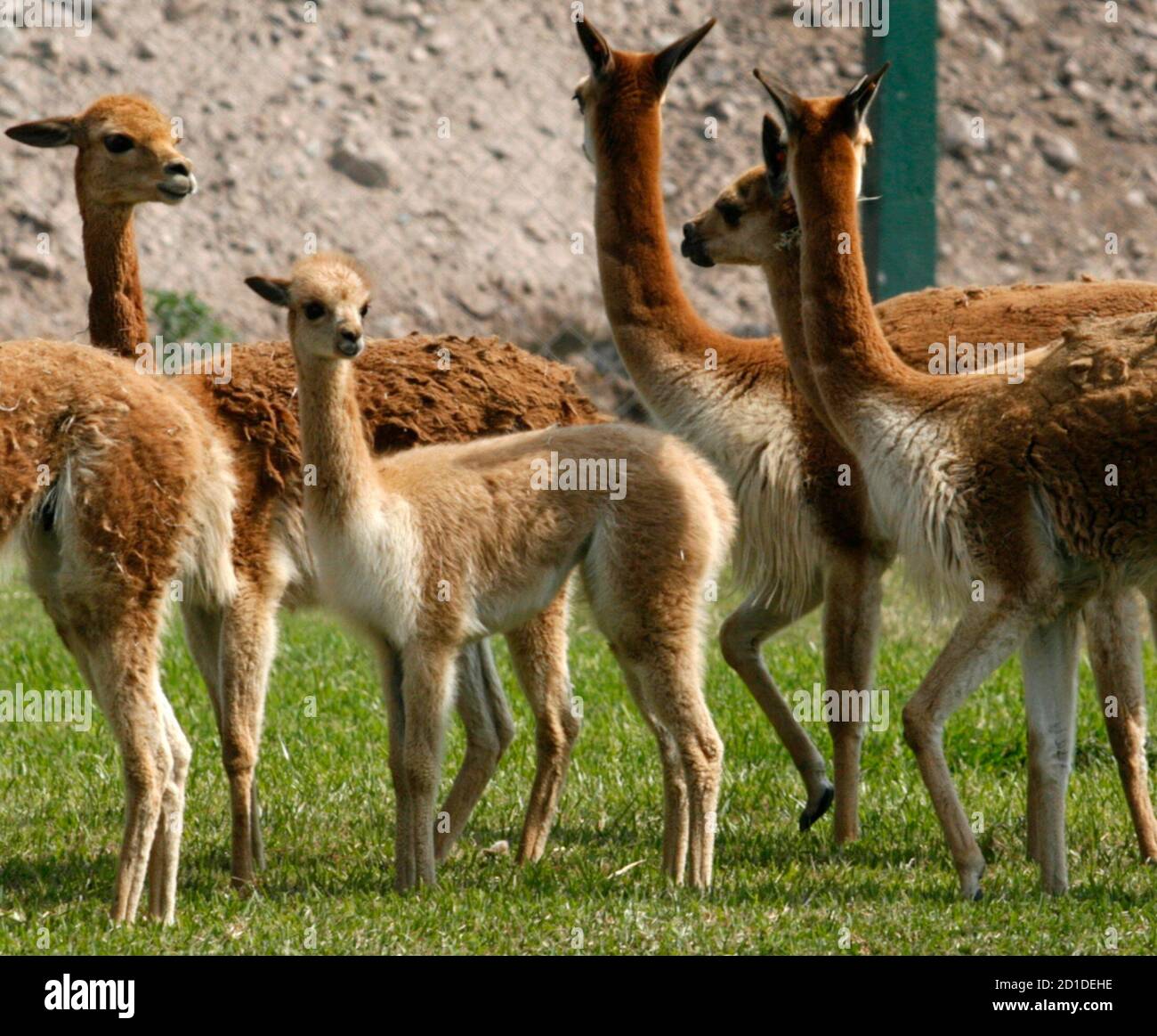 Leyendas de america hi-res stock photography and images - Alamy