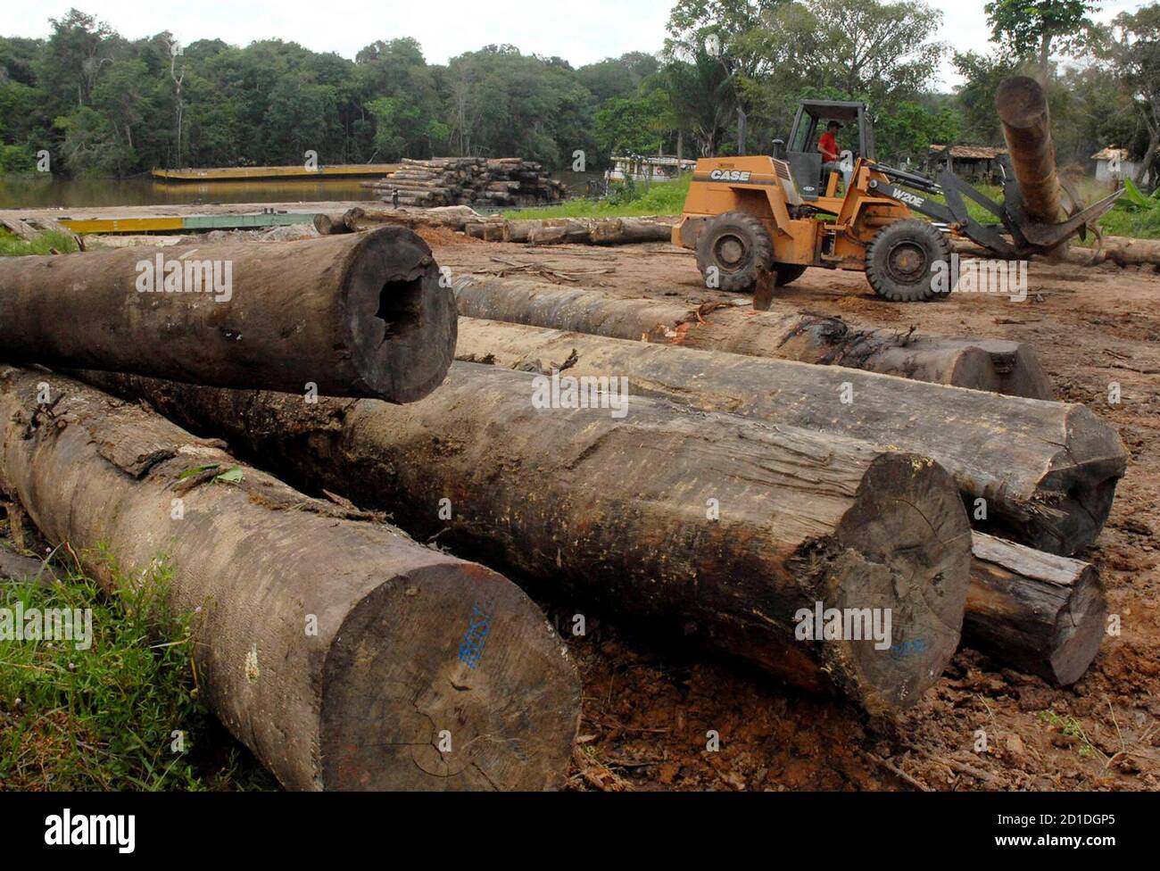 Rainforest logging tractor hi-res stock photography and images - Alamy