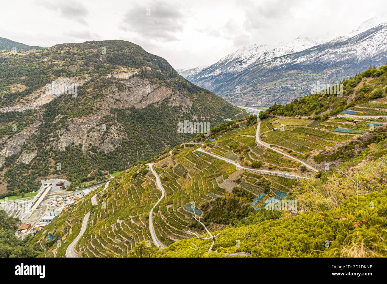 Visperterminen's highest vineyard of Europe Visp, Switzerland Stock ...