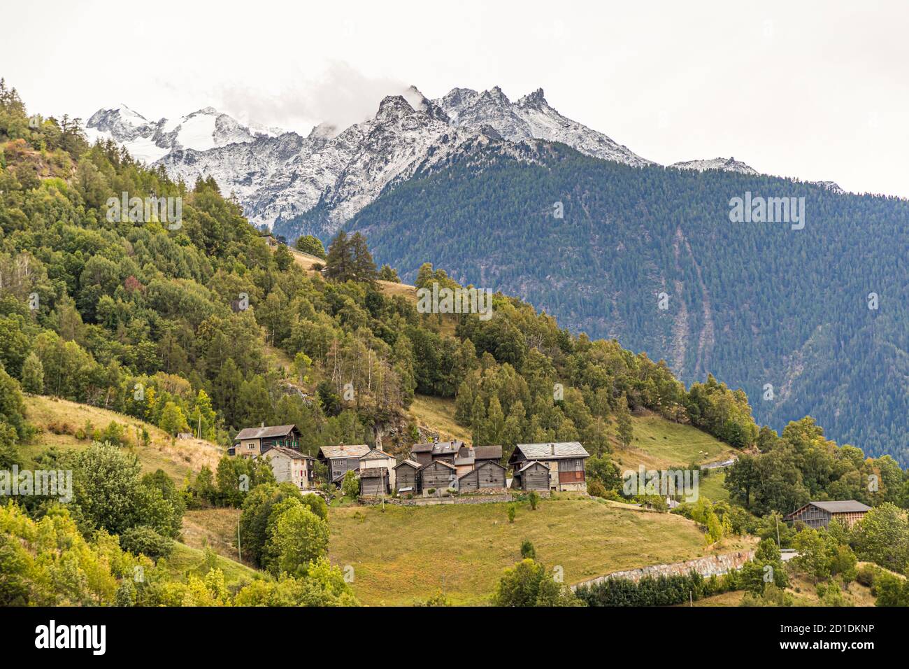 Hike over the vine trail from Visperterminen to Visp, Valais ...