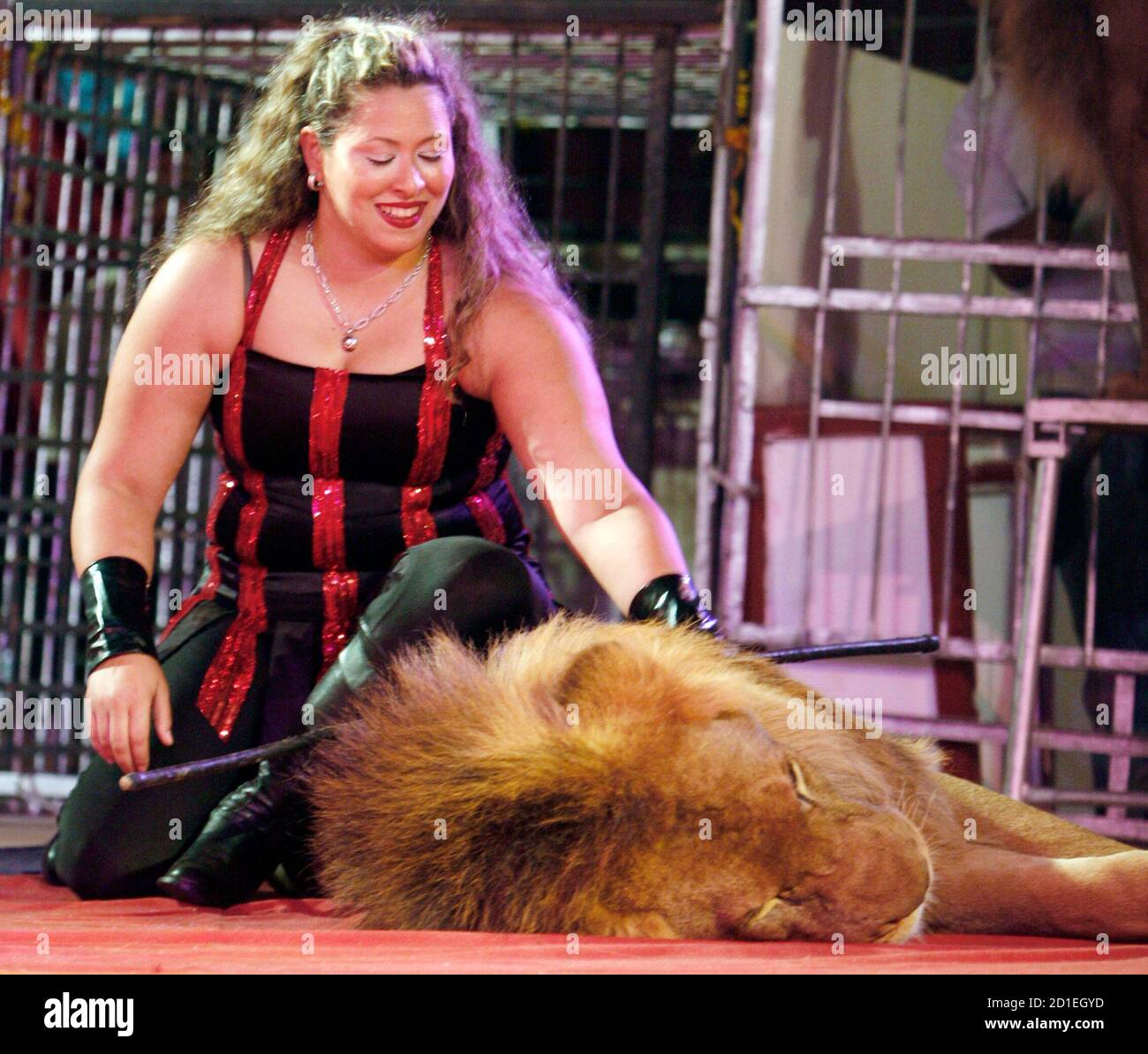 Circus in egypt hi-res stock photography and images - Alamy
