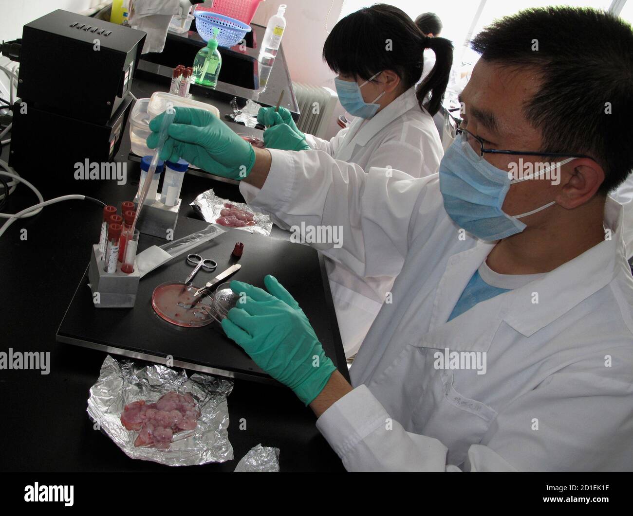 Genetic dna china hi-res stock photography and images - Alamy
