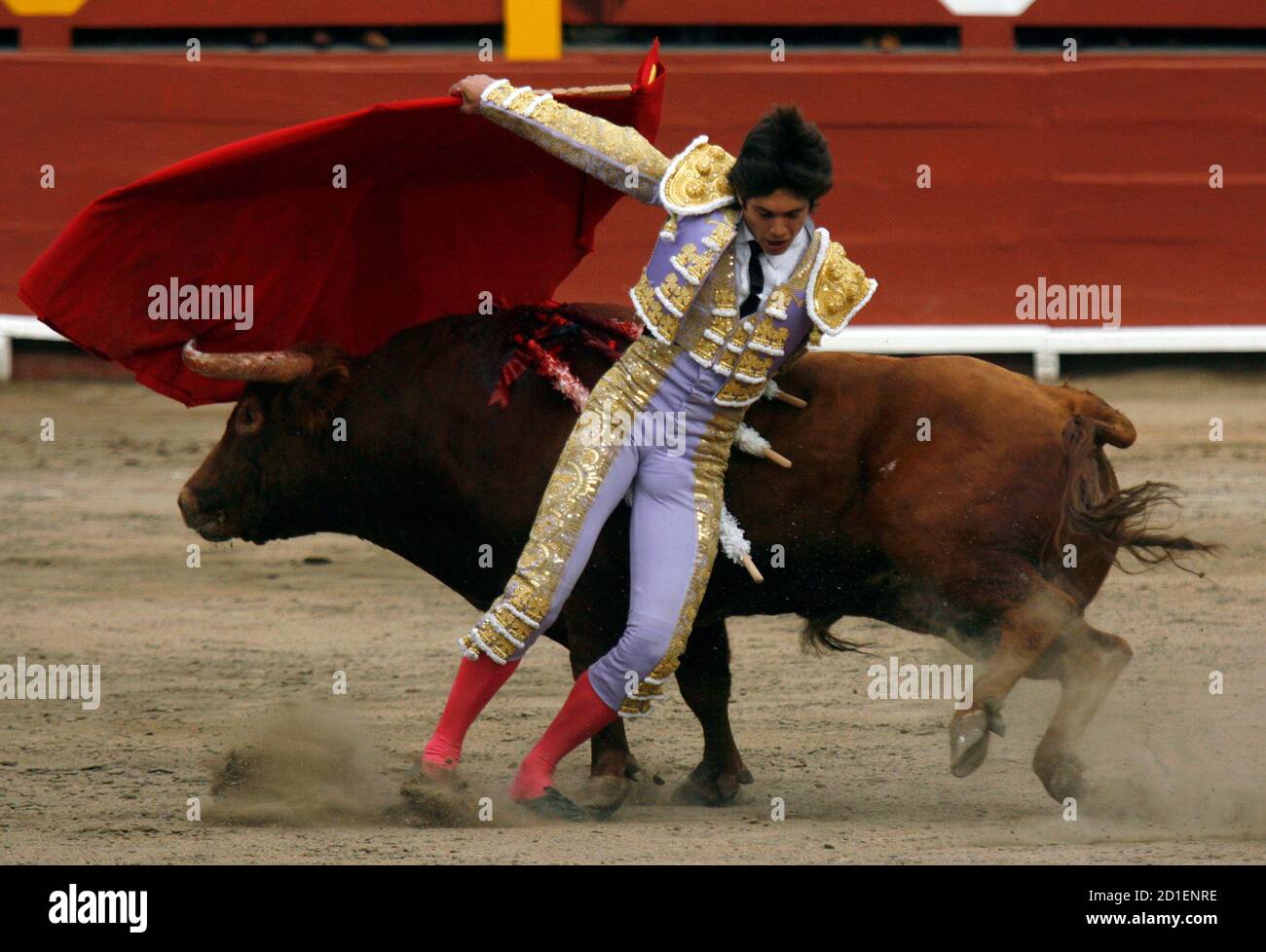 French bullfighter Sebastian Castella is pushed by a bull during a ...