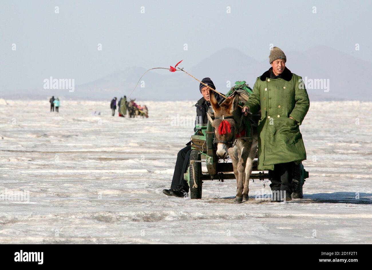 Donkey Ice High Resolution Stock Photography and Images - Alamy
