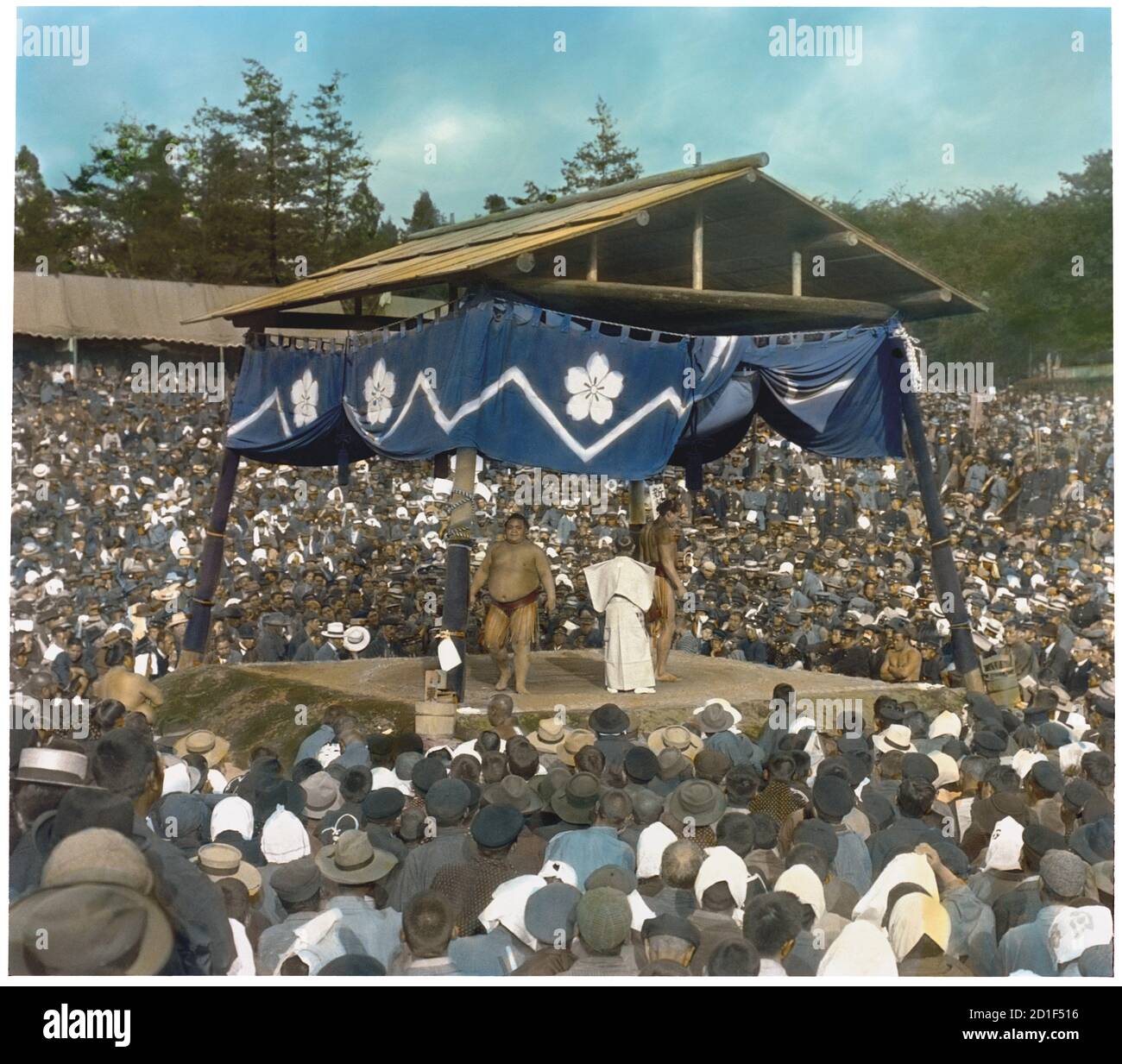 Colorized photo of crowds of spectators watching an open-air sumo ...