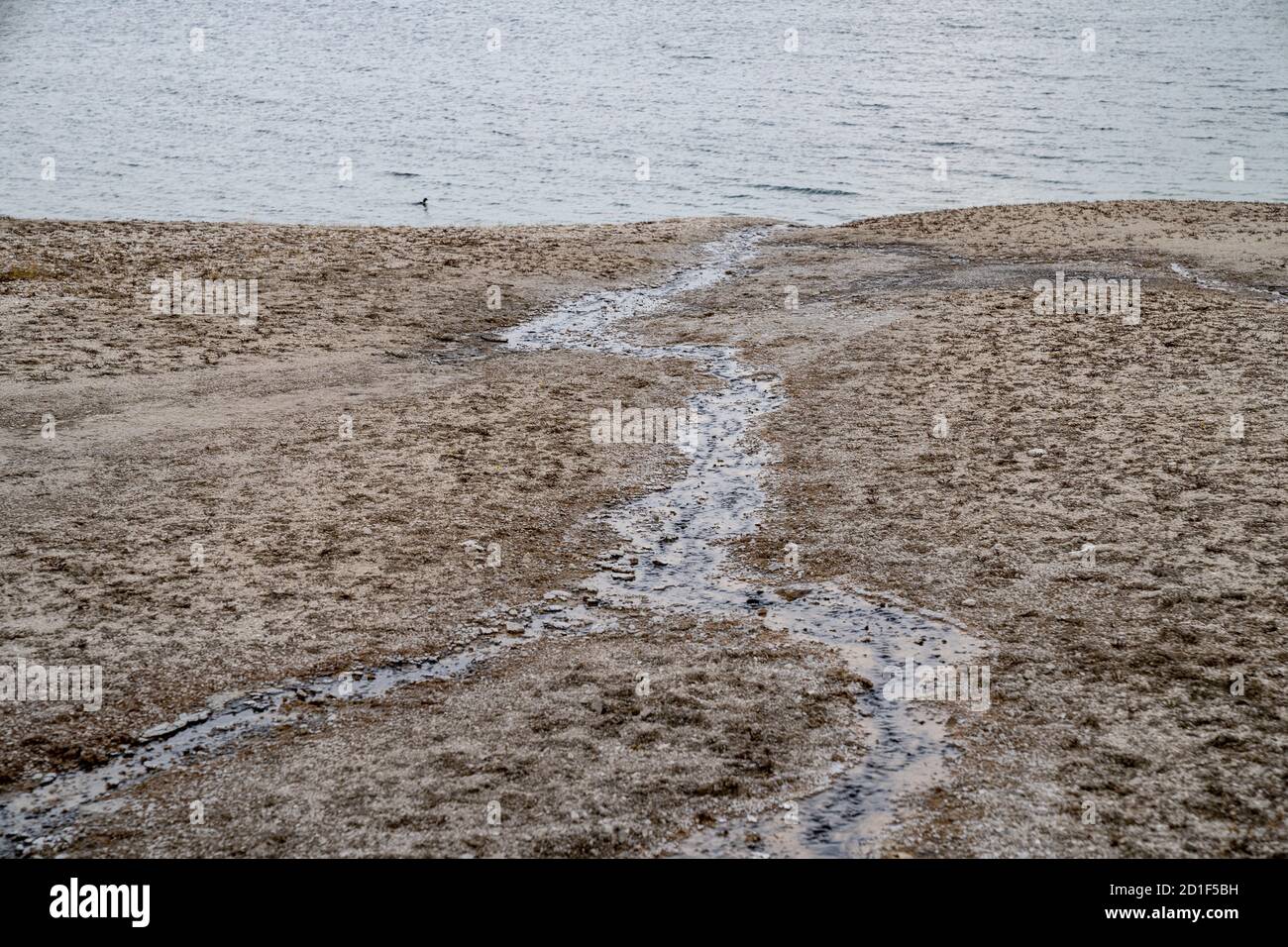 Hot spring geothermal water flows into Yellowstone Lake from West Thumb ...