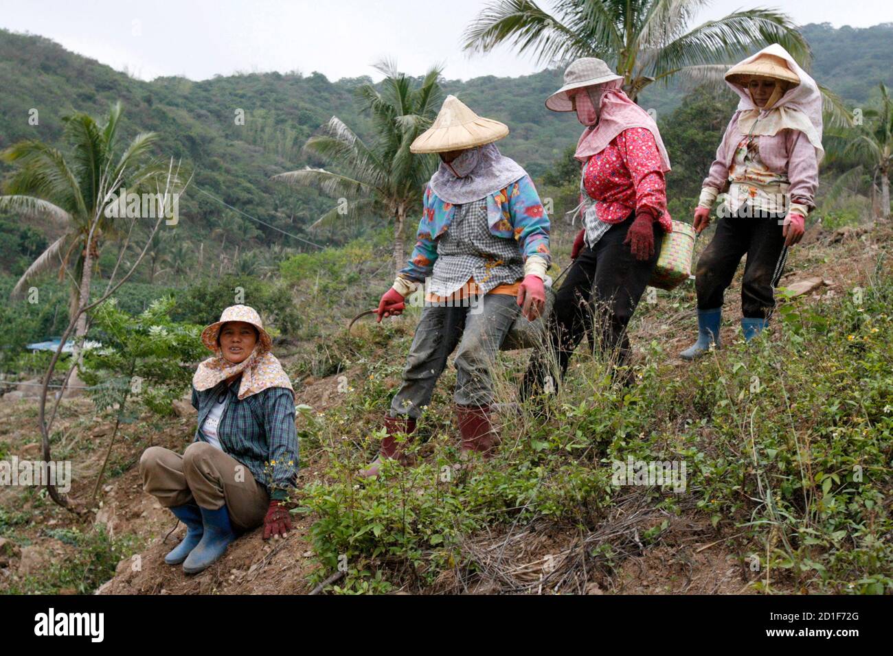 Atayal hi-res stock photography and images - Alamy