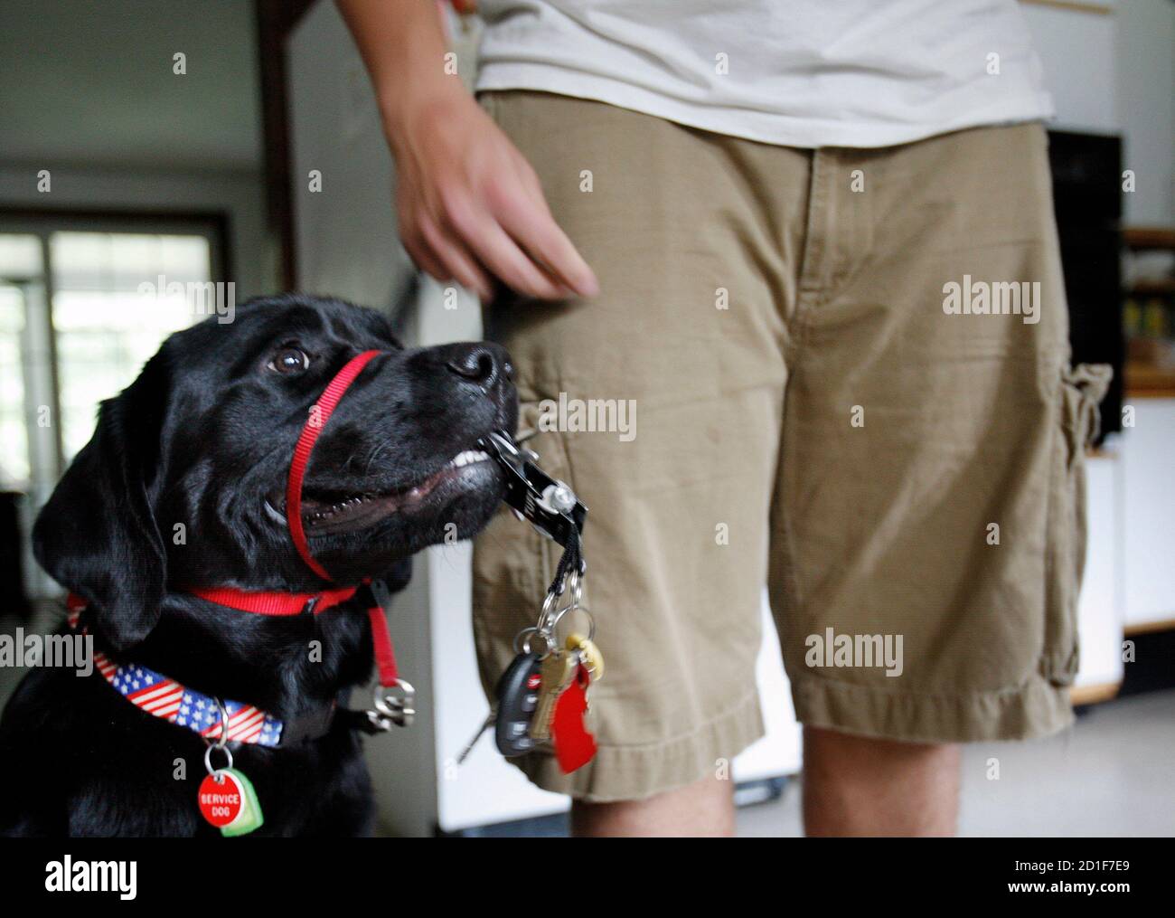 Prison train service dogs hi-res stock photography and images - Alamy