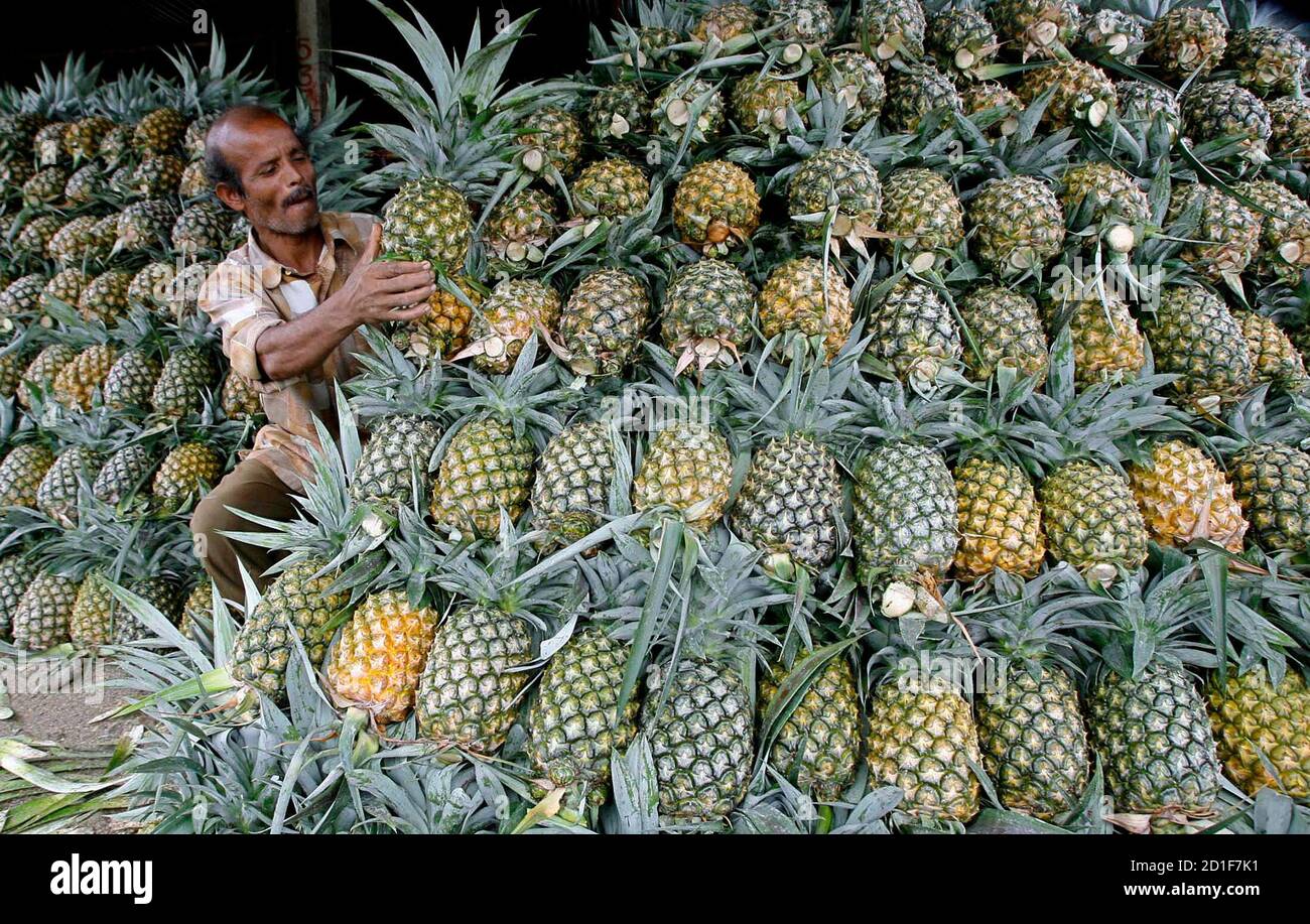 Indian farm hi-res stock photography and images - Alamy