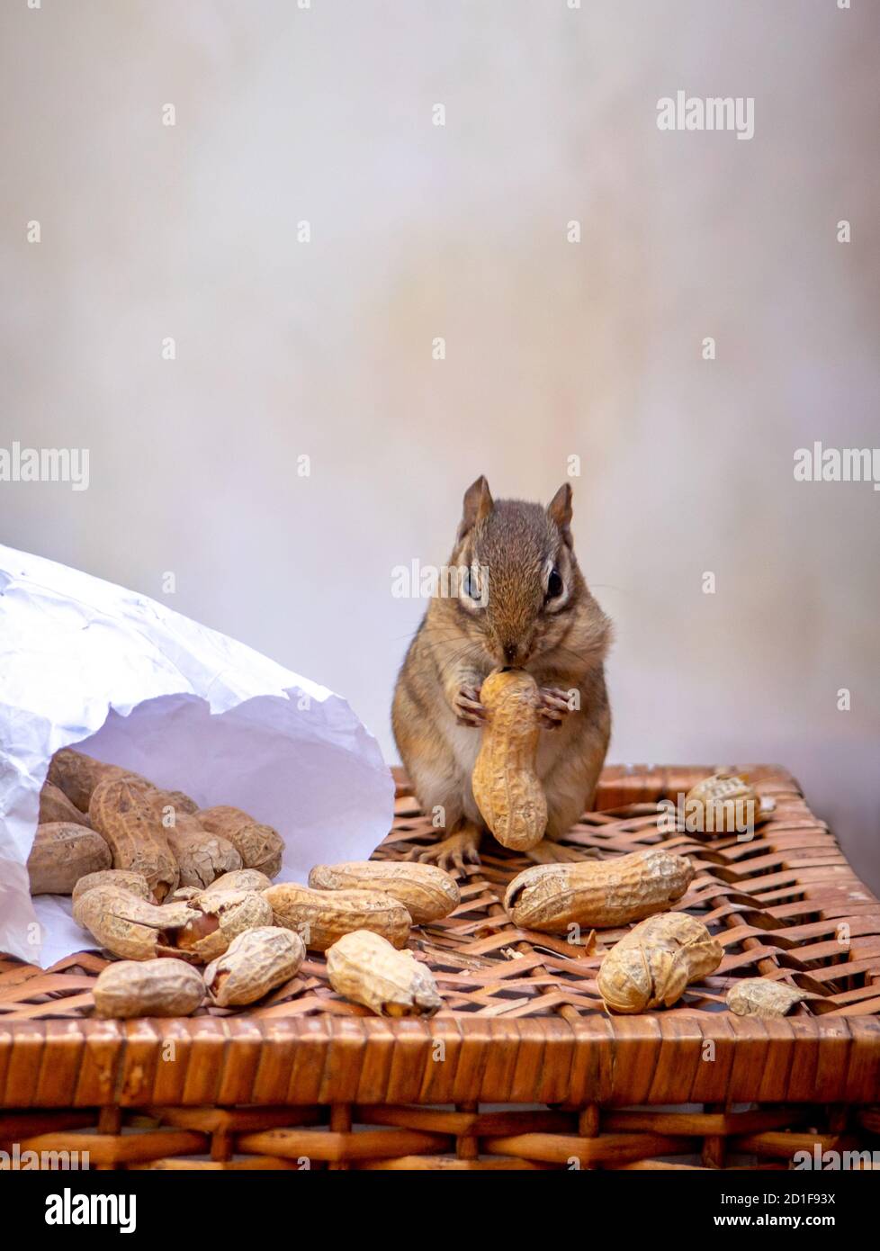 Happy peanuts hi-res stock photography and images - Alamy