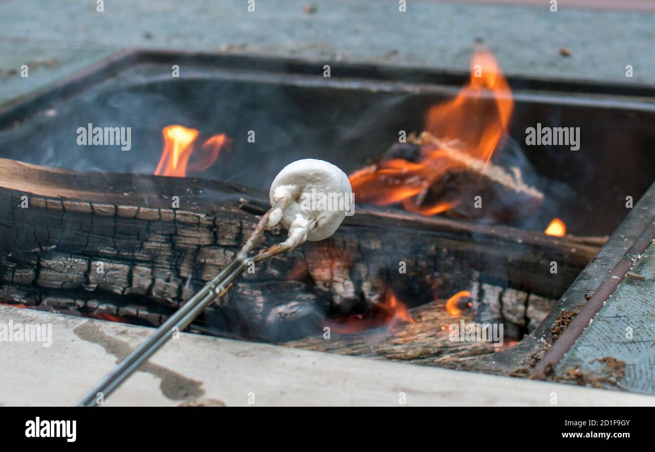 roasting marshmallows over a camp fire is the perfect fall activity ...