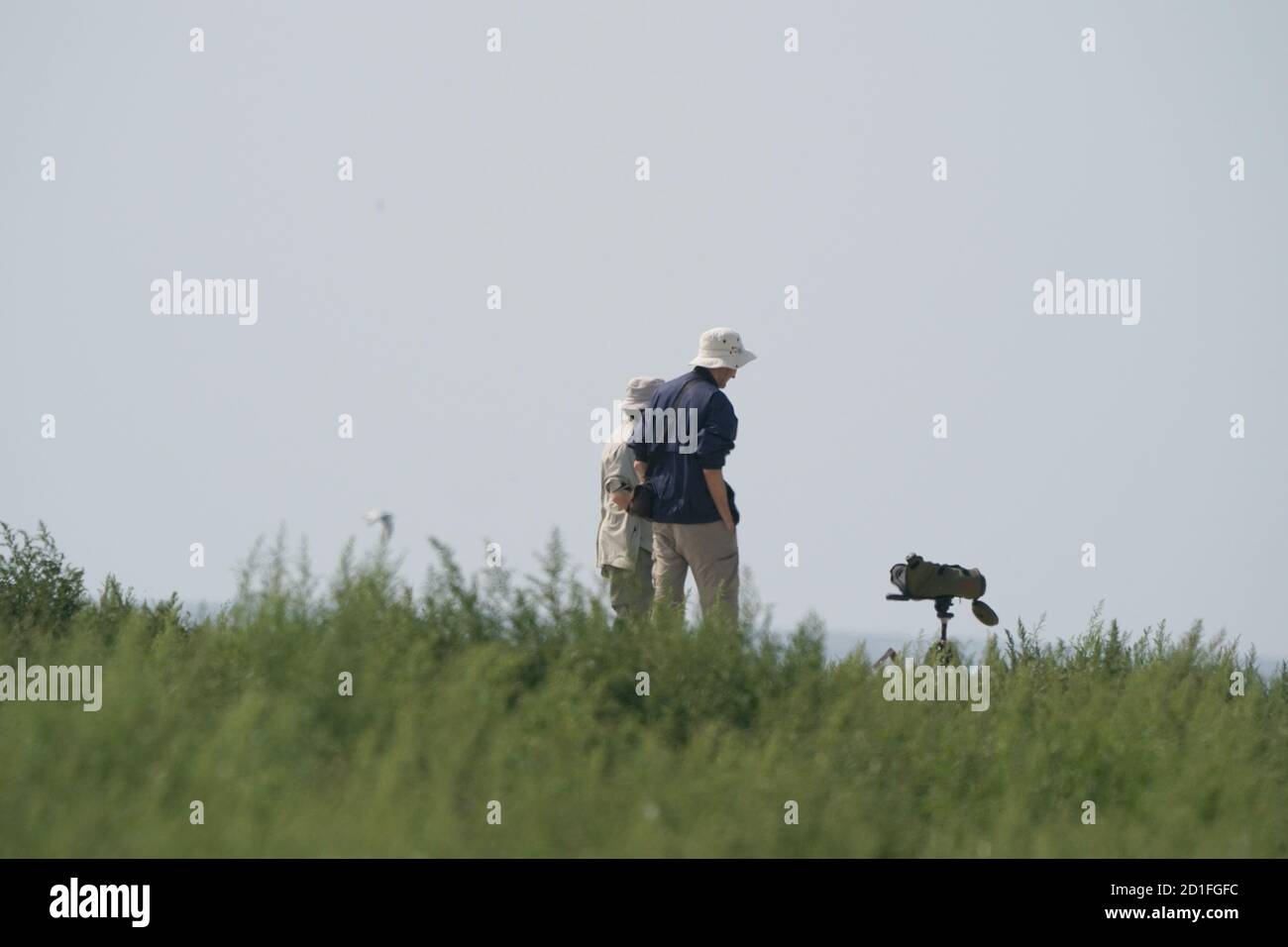 Serious Bird watchers Stock Photo - Alamy