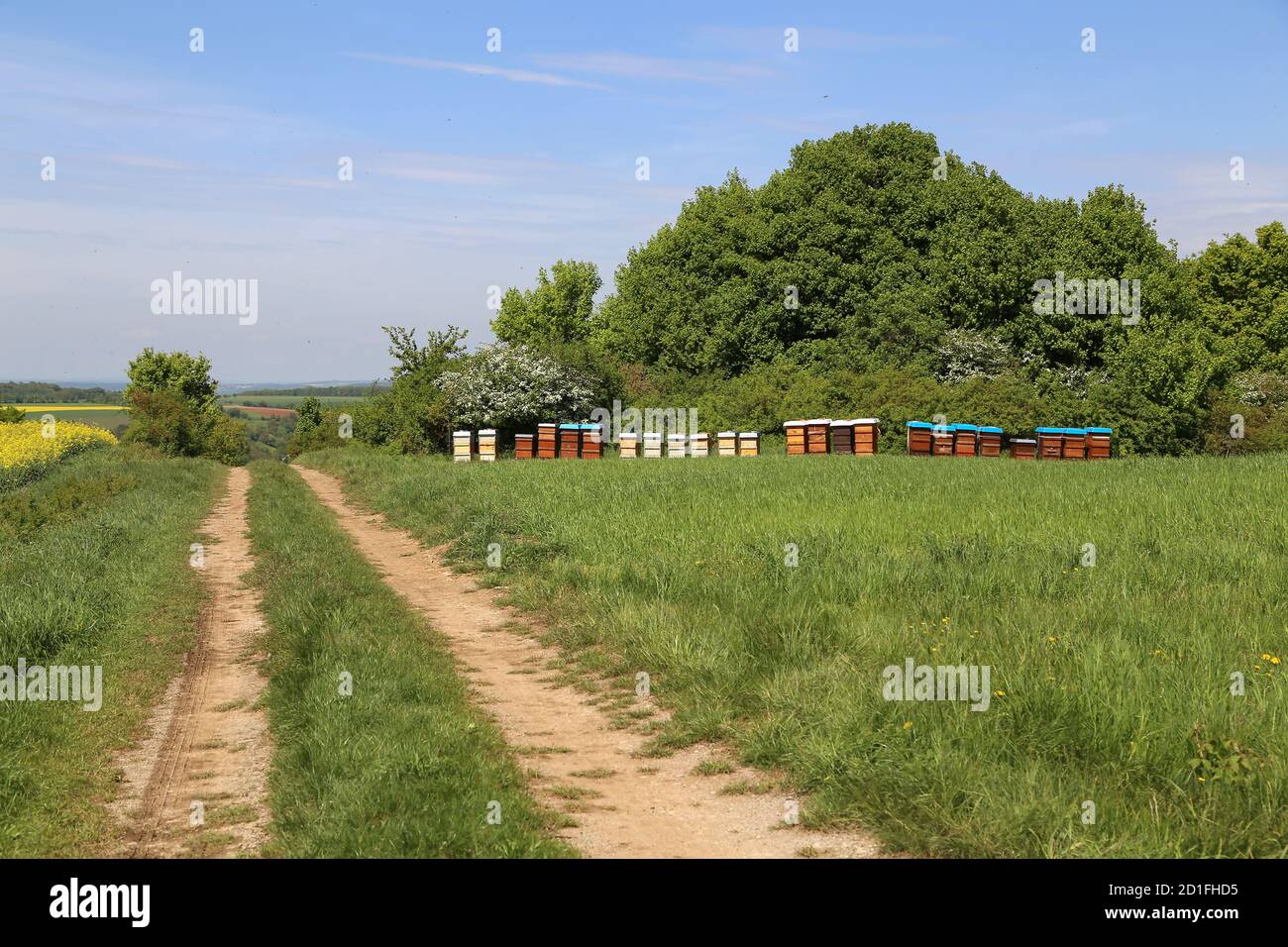 Car trail leading through a field with beehive boxes Stock Photo - Alamy