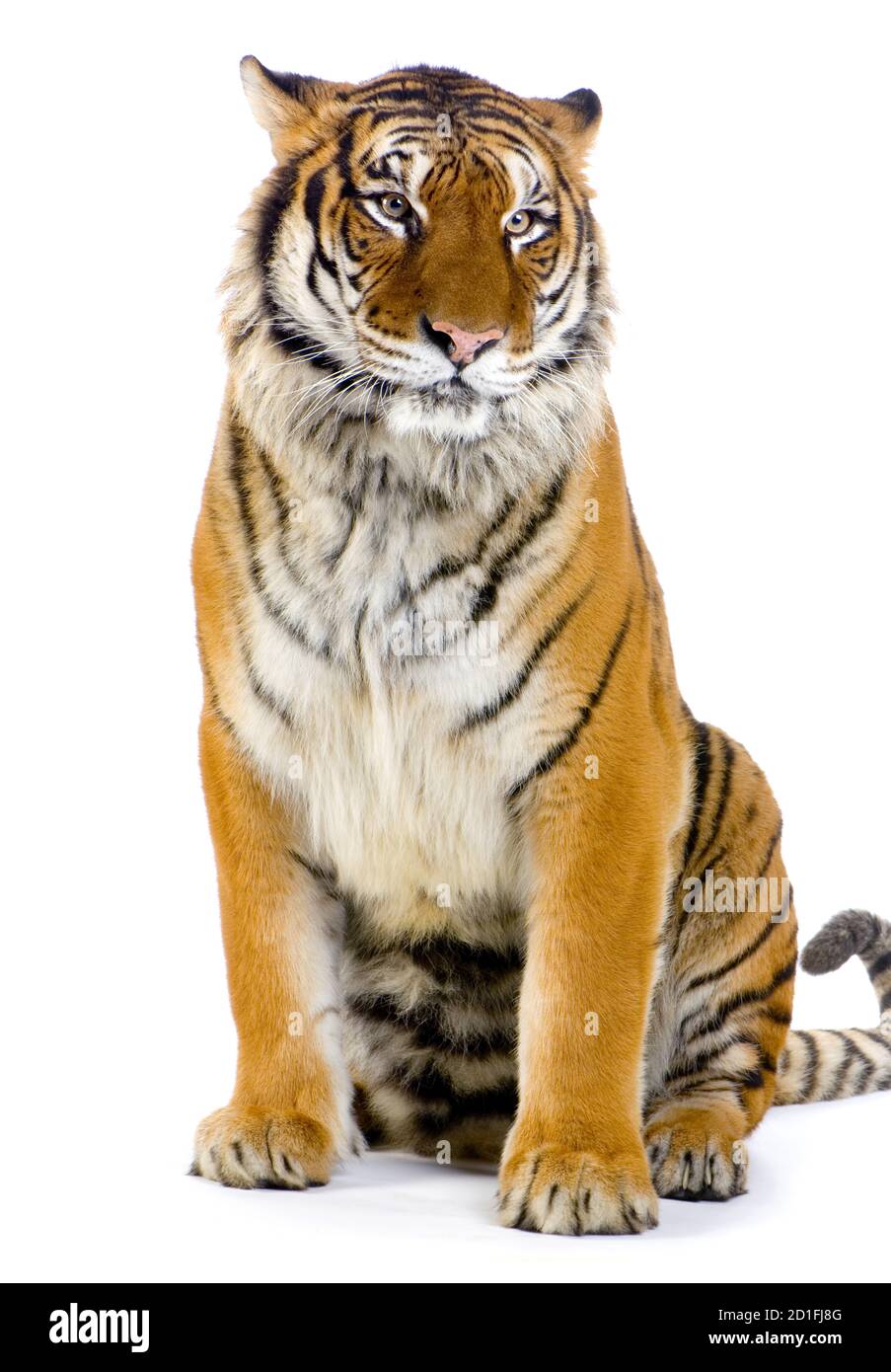 Cartoon work zone Cut Out Stock Images & Pictures - Alamy