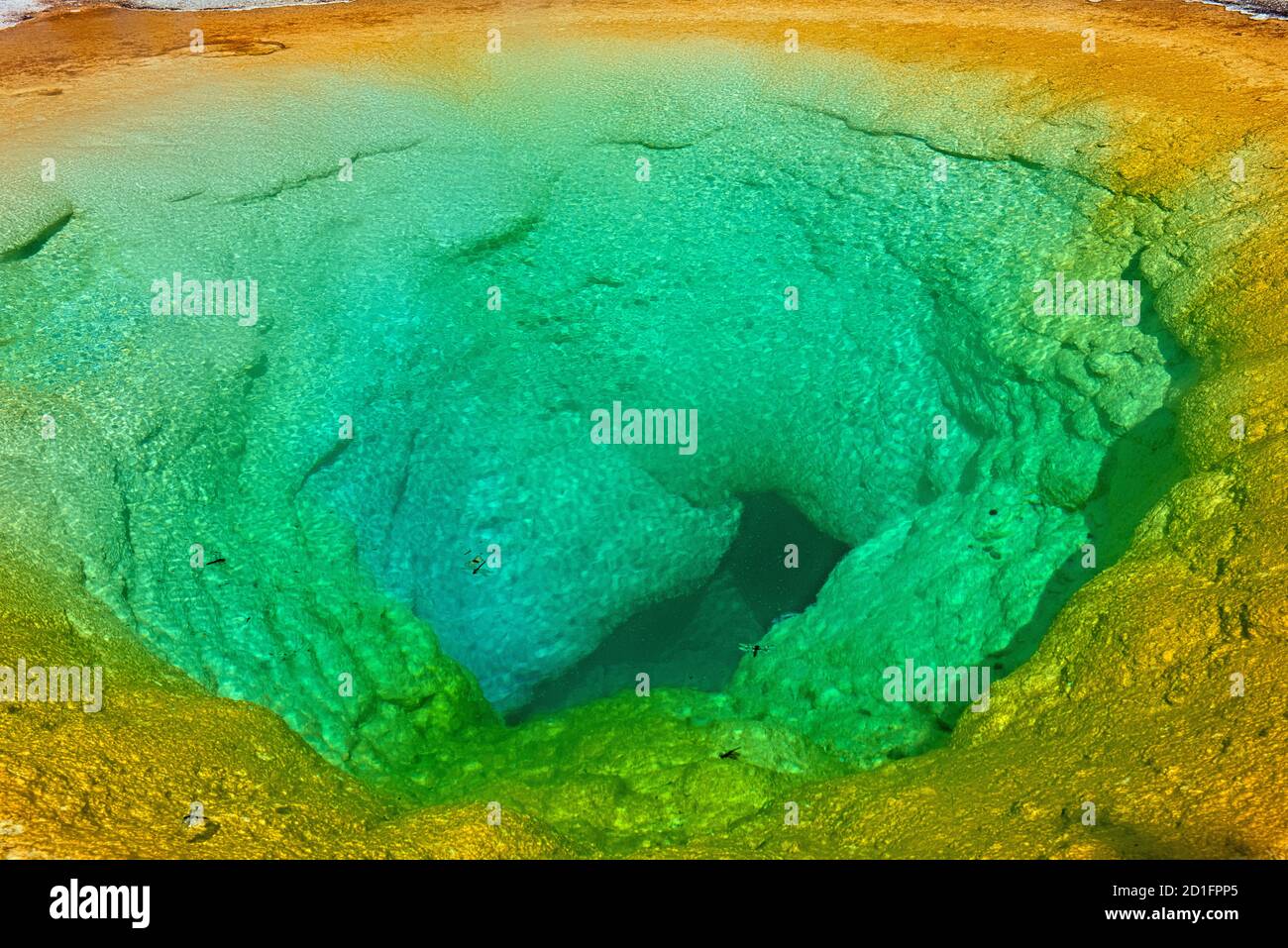 Hot spring geyser hi-res stock photography and images - Alamy