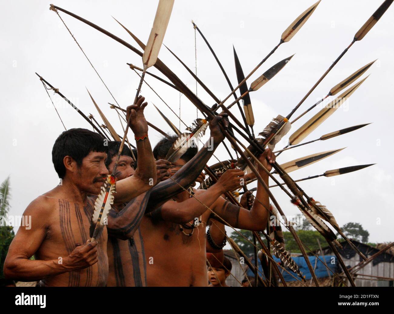 Brazil Tribe Arrow High Resolution Stock Photography and Images - Alamy