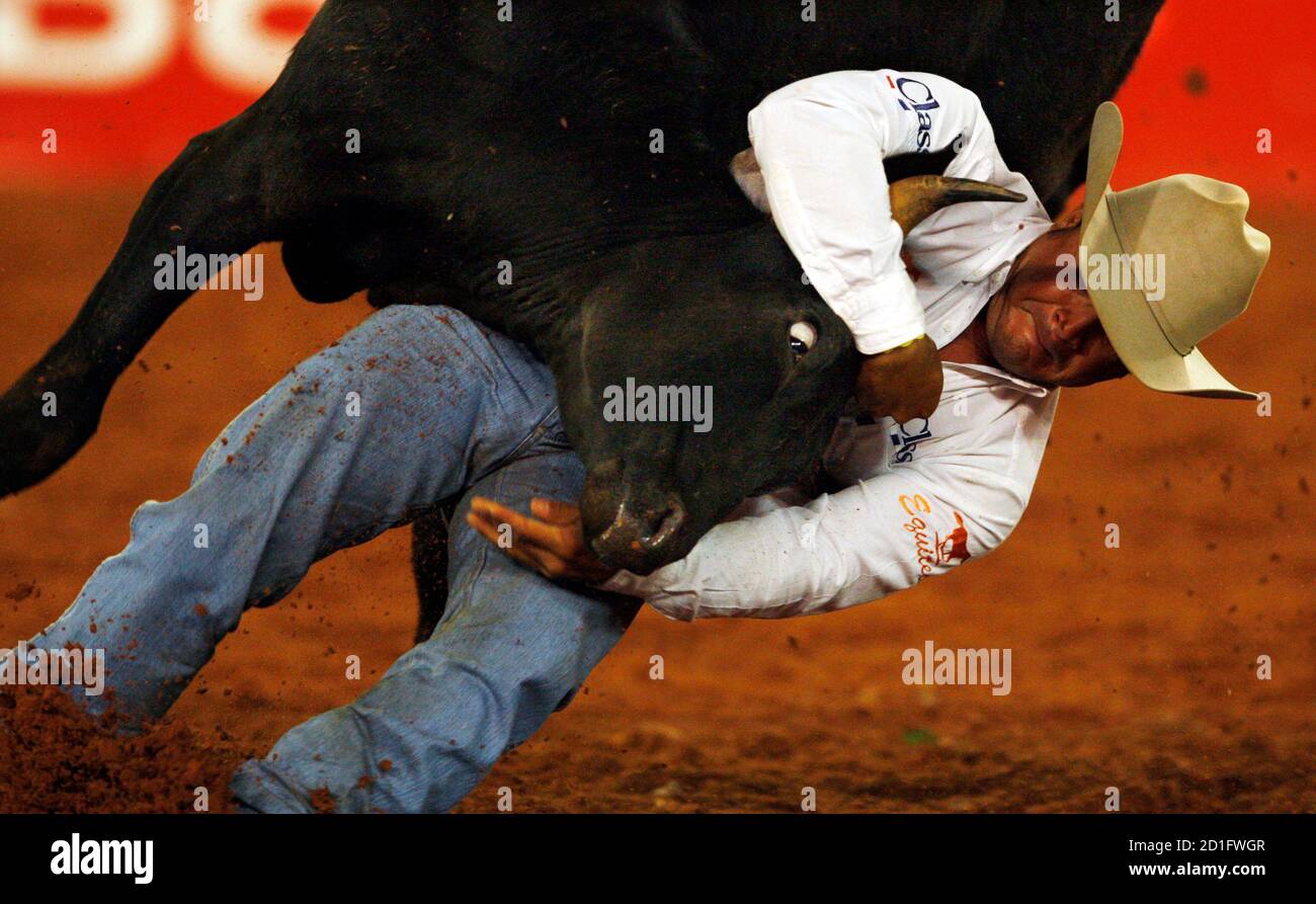 Bareback Bronc Riding High Resolution Stock Photography and Images - Alamy