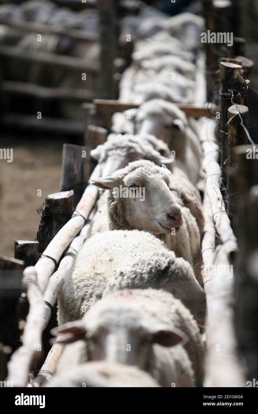 Small farms chile hi-res stock photography and images - Alamy